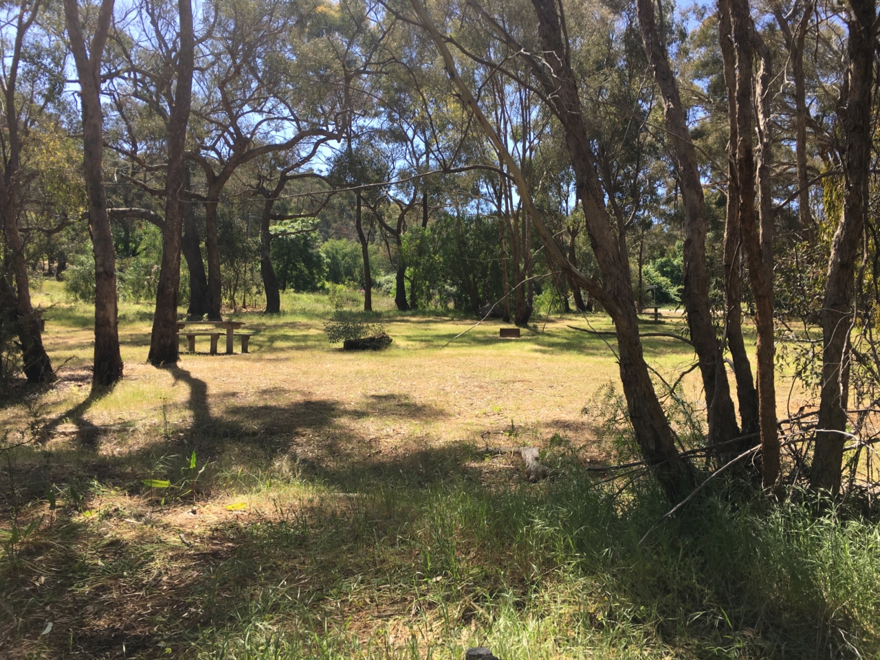 North British Mine Maldon - Everything Maldon